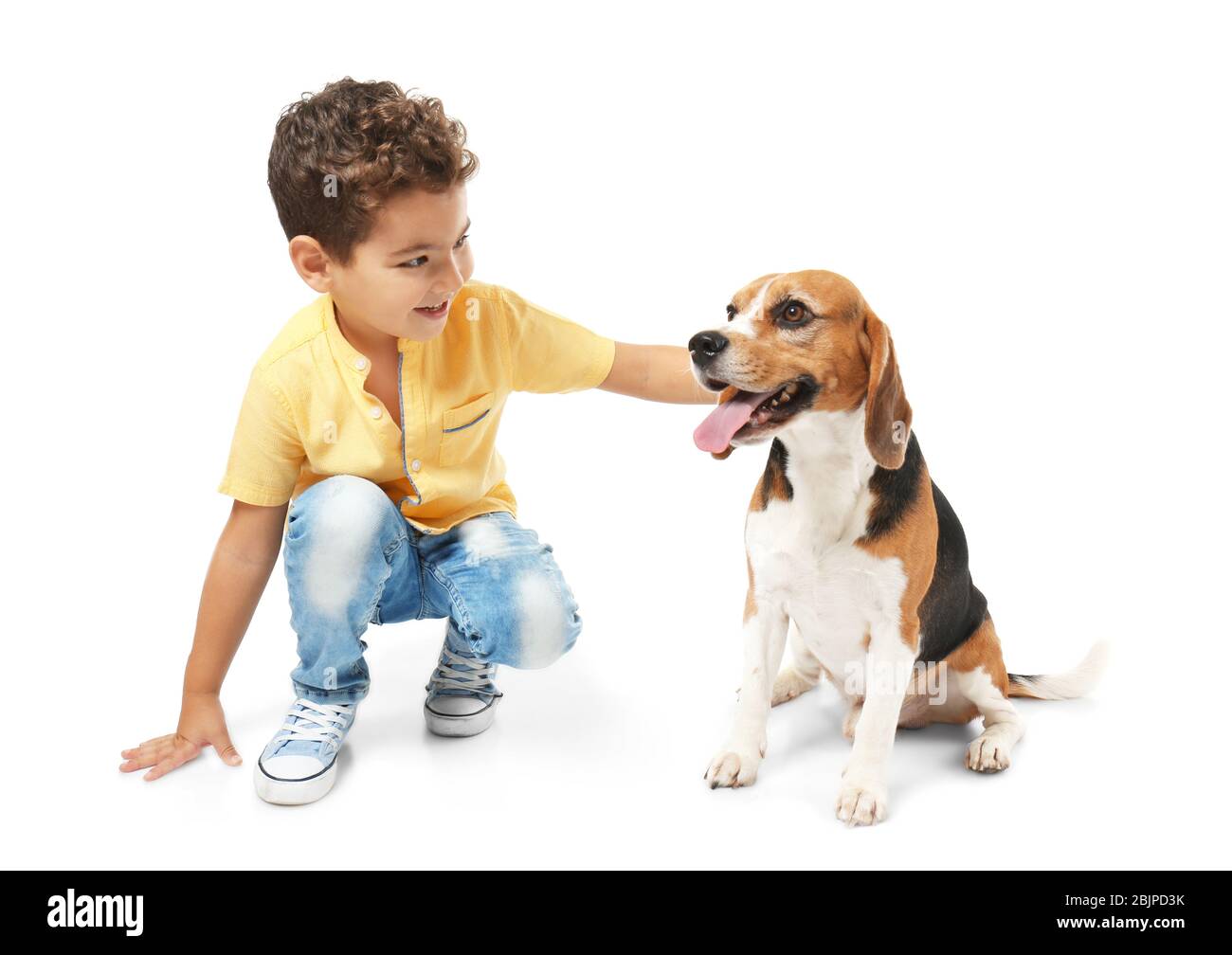 Cute little boy with dog on white background Stock Photo - Alamy