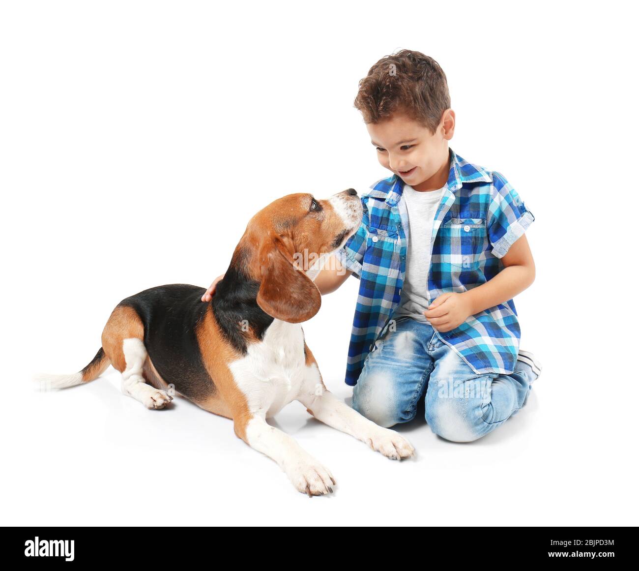 Cute little boy with dog on white background Stock Photo - Alamy