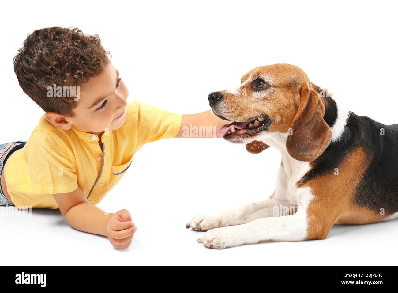 Cute little boy with dog on white background Stock Photo - Alamy