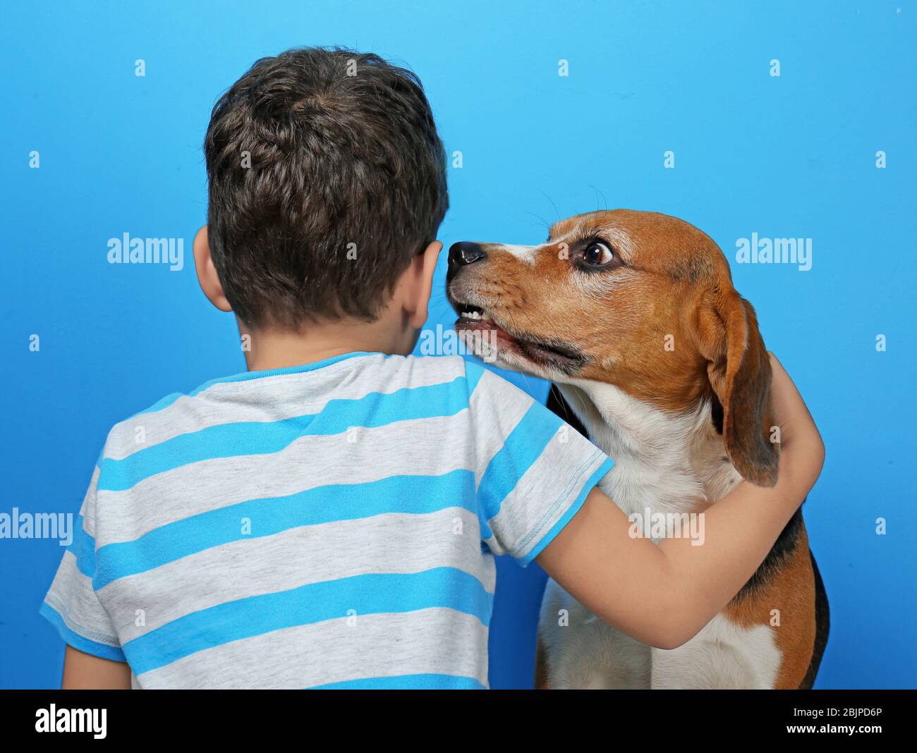 Cute boy with dog on color background Stock Photo - Alamy