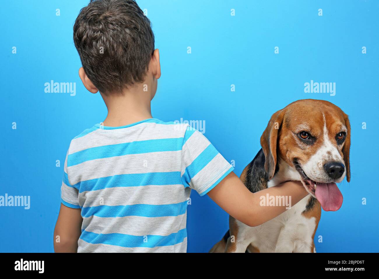 Cute boy with dog on color background Stock Photo - Alamy