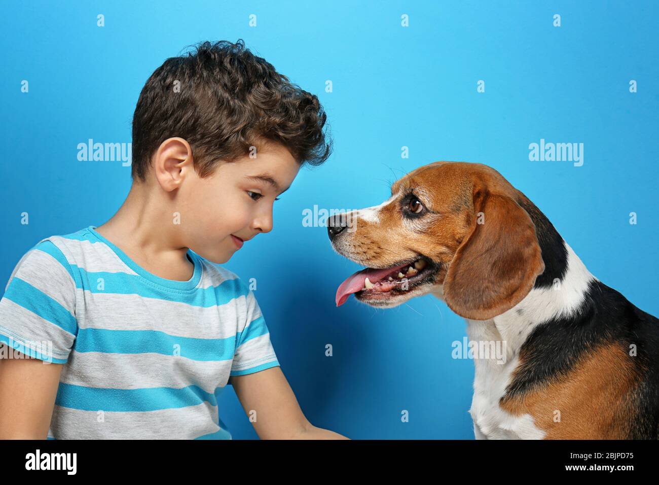 Cute boy with dog on color background Stock Photo - Alamy