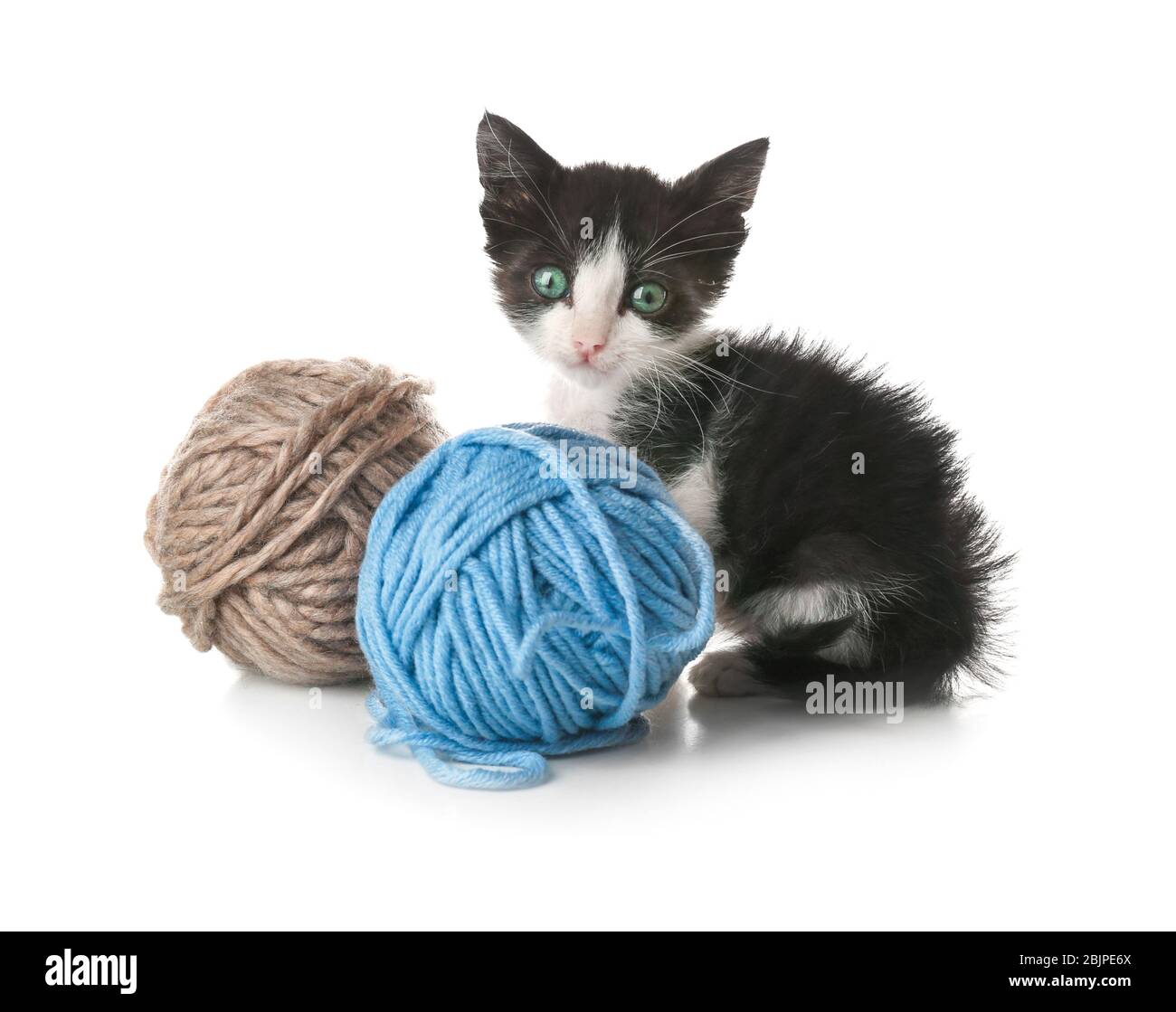 Cute funny baby kitten near balls of thread on white background Stock ...