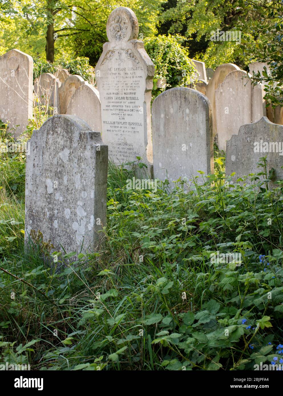 Brompton Cemetery, Kensington, London; one of the 'Magnificent Seven ...