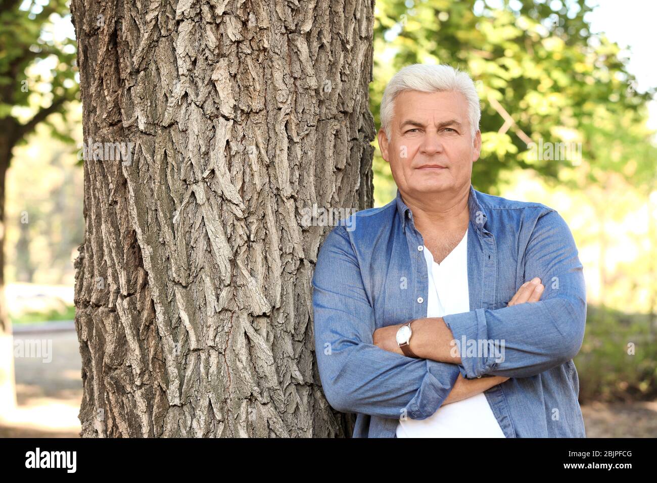 Man standing near tree hi-res stock photography and images - Alamy