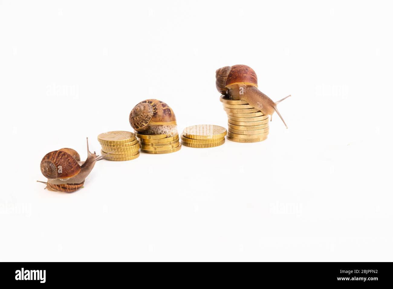 view of snails and stacks coins isolated Stock Photo - Alamy