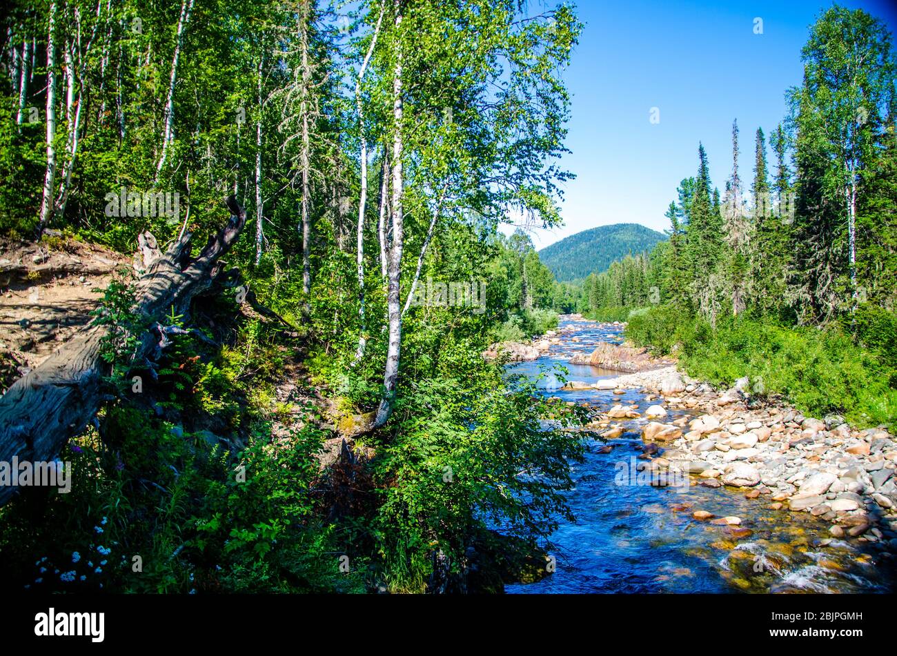 warm Sunny summer day. pure mountain river Stock Photo - Alamy
