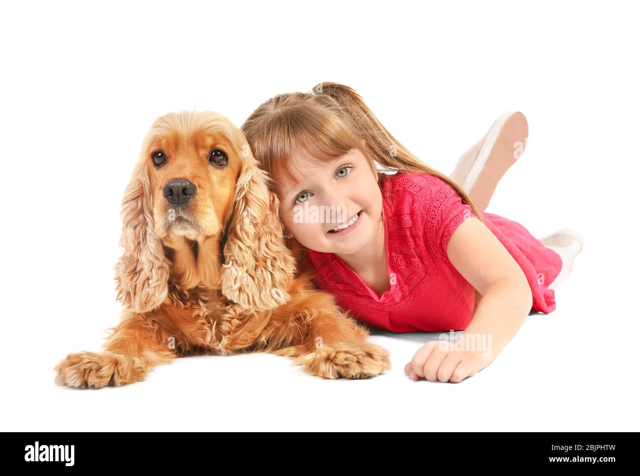 Cute little girl with funny dog on white background Stock Photo - Alamy