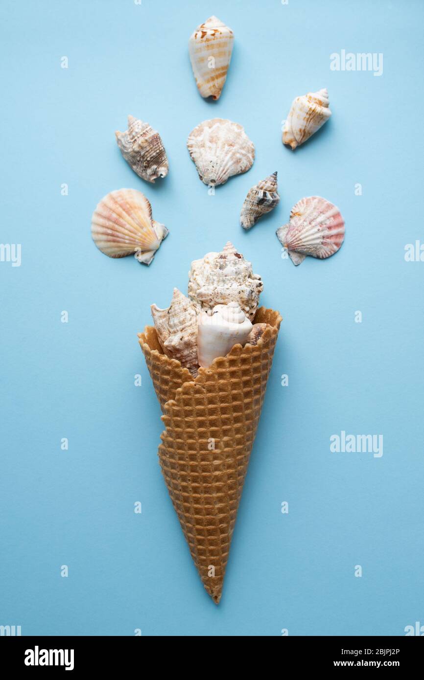 Creative composition with seashell and ice cream cone on pastel blue ...