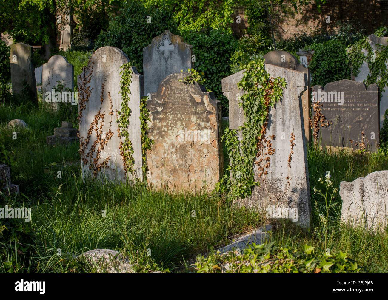 Brompton Cemetery, Kensington, London; one of the 'Magnificent Seven ...