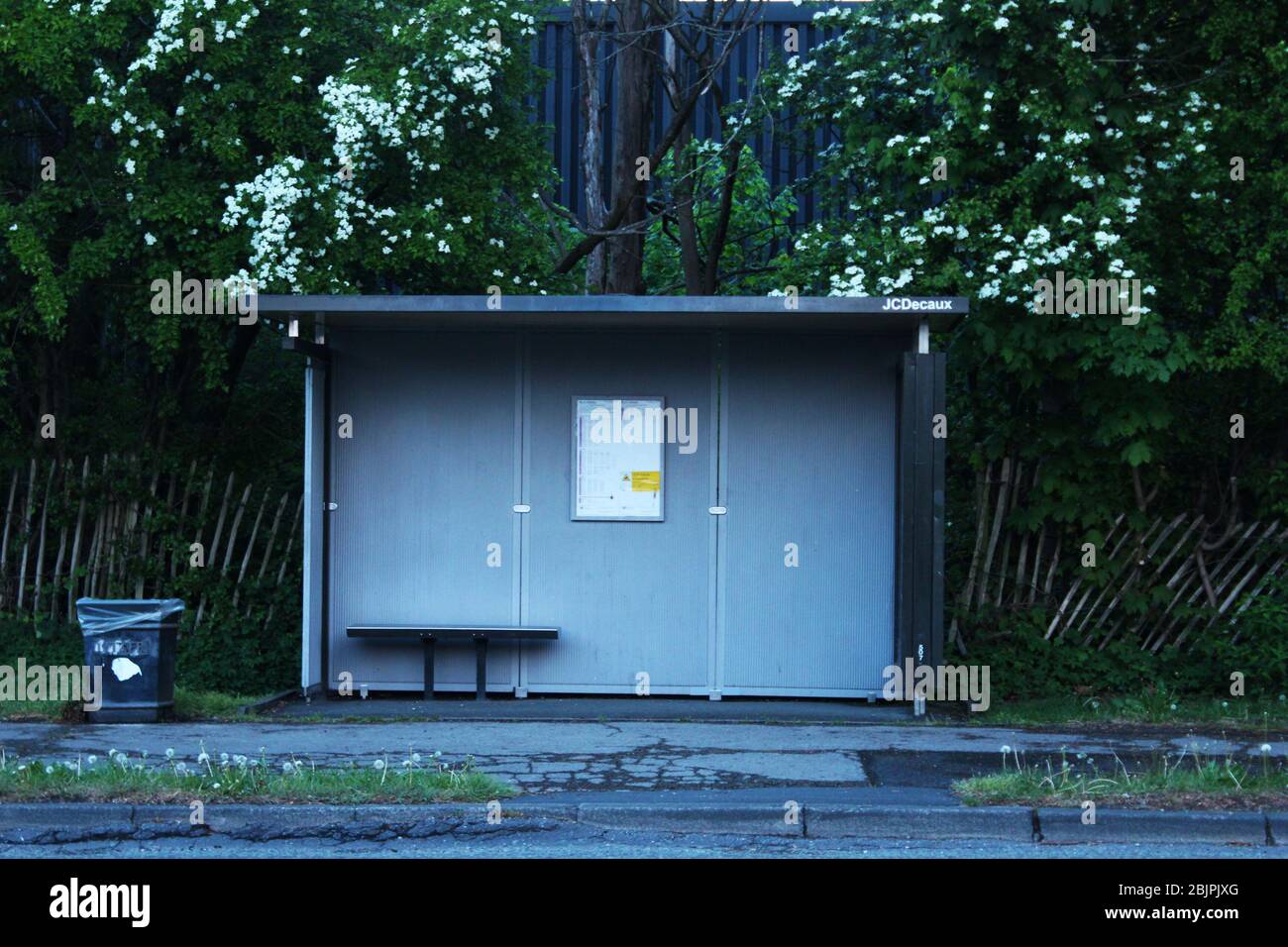 A bus stop surrounded by trees on a road in Manchester, England Stock ...