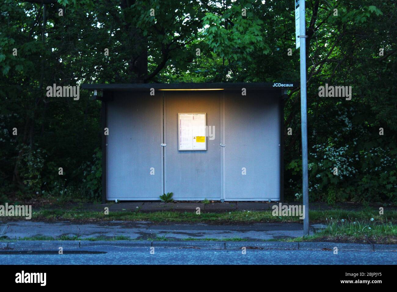 Old, dark bus stop surrounded by big trees on a road in Manchester ...
