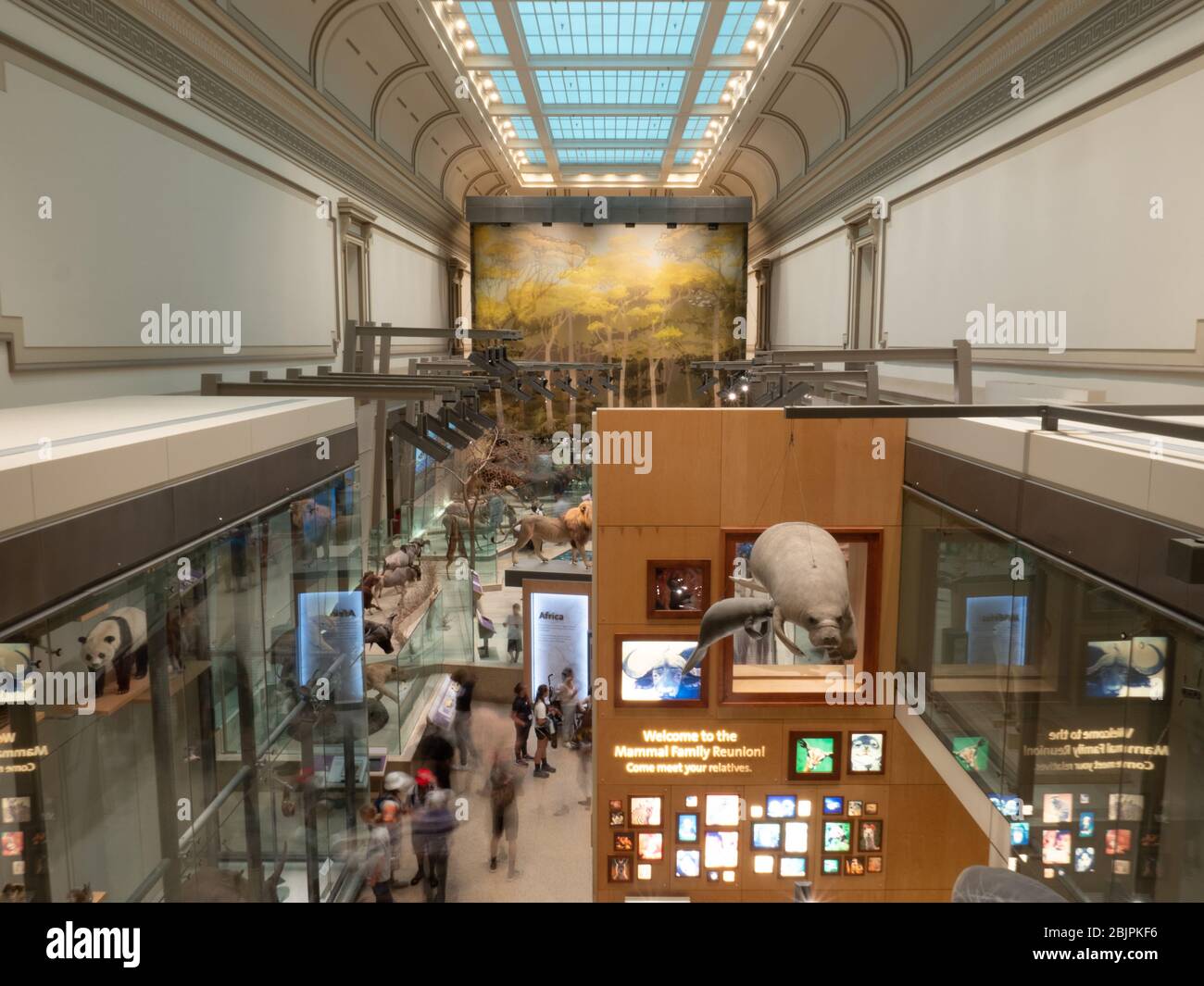 Washington dc museum natural science hi-res stock photography and ...