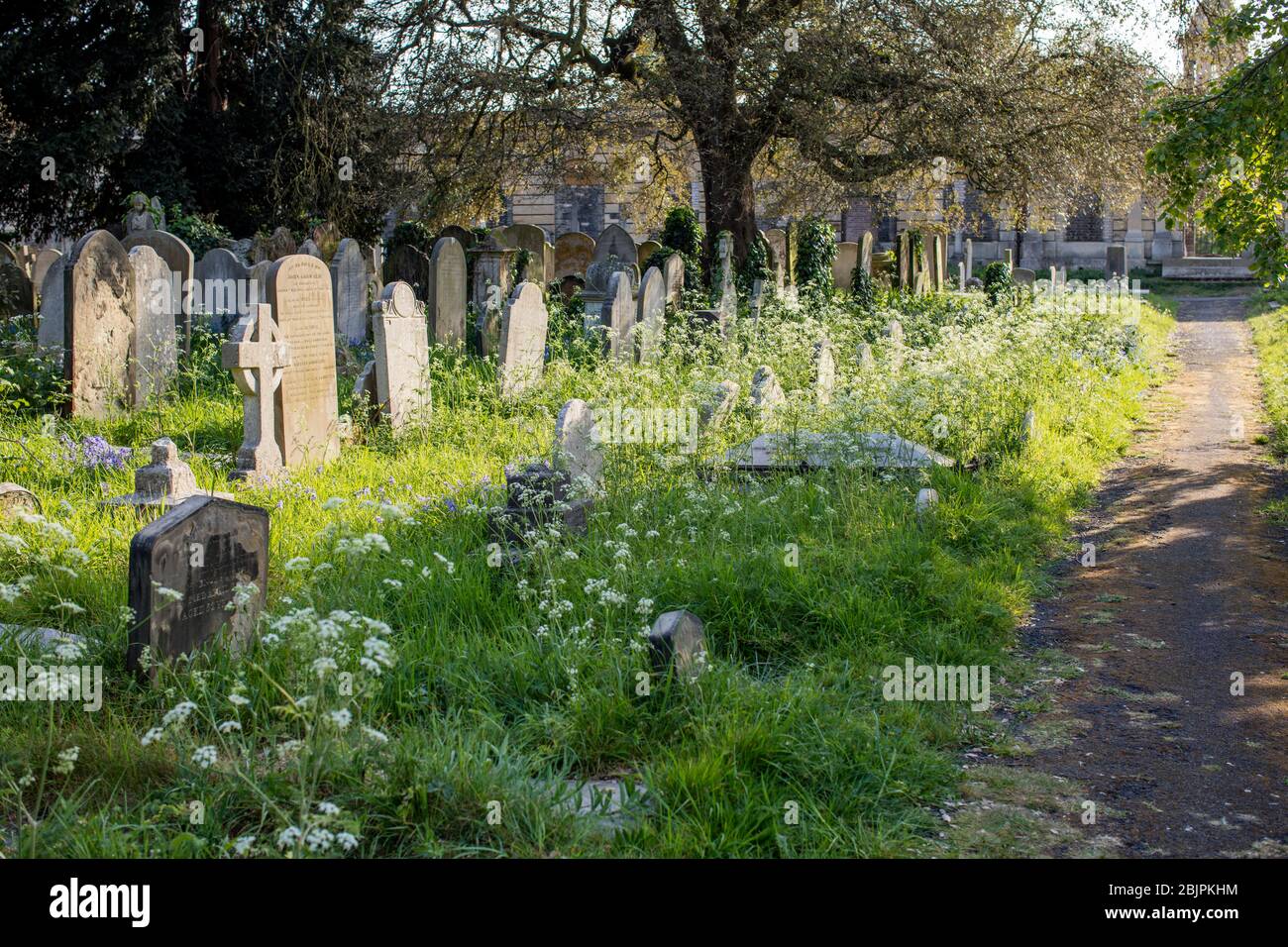 Brompton Cemetery, Kensington, London; one of the 'Magnificent Seven ...