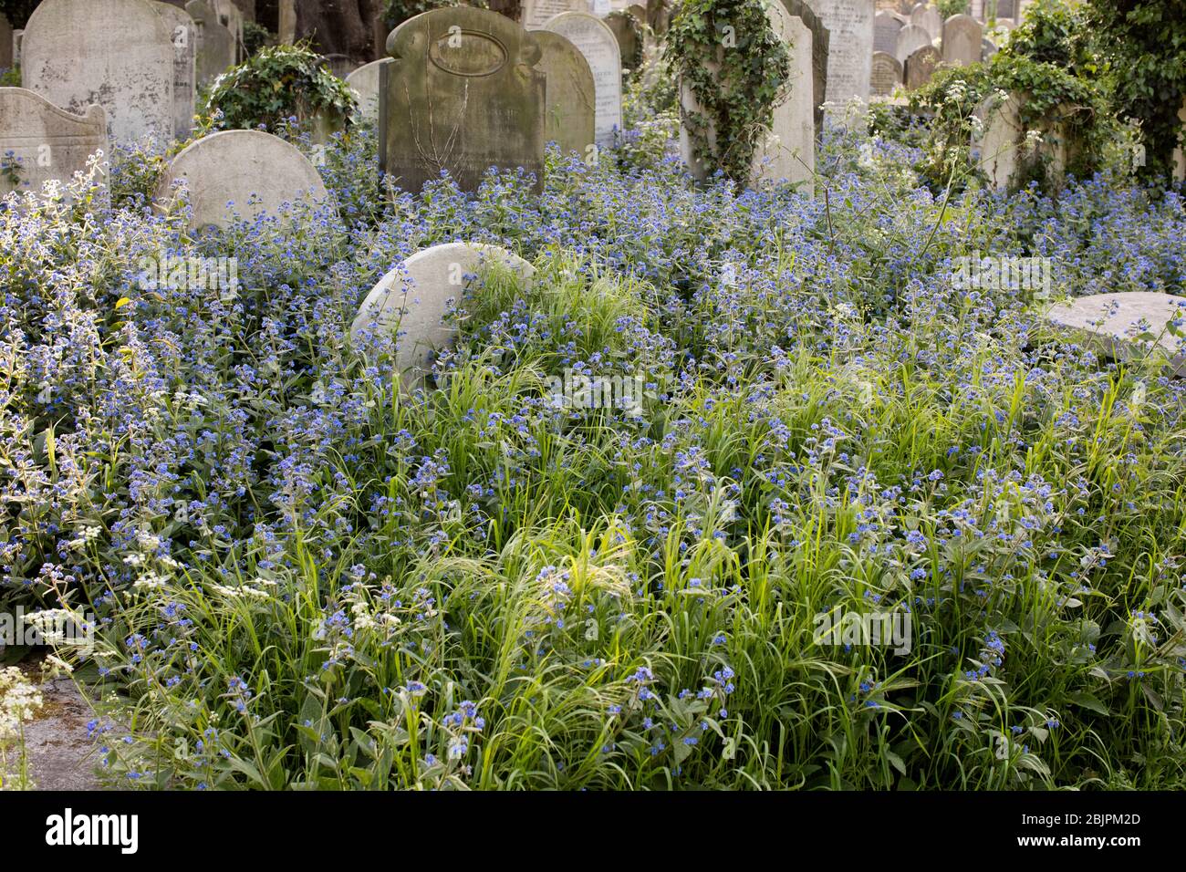 Brompton Cemetery, Kensington, London; one of the 'Magnificent Seven ...