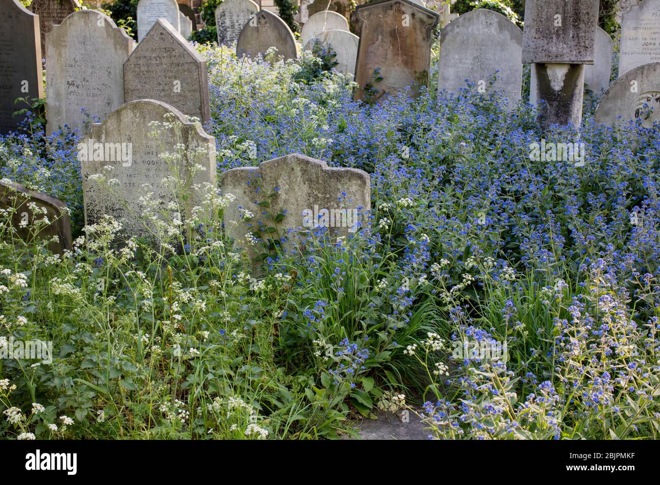 Brompton Cemetery, Kensington, London; one of the 'Magnificent Seven ...