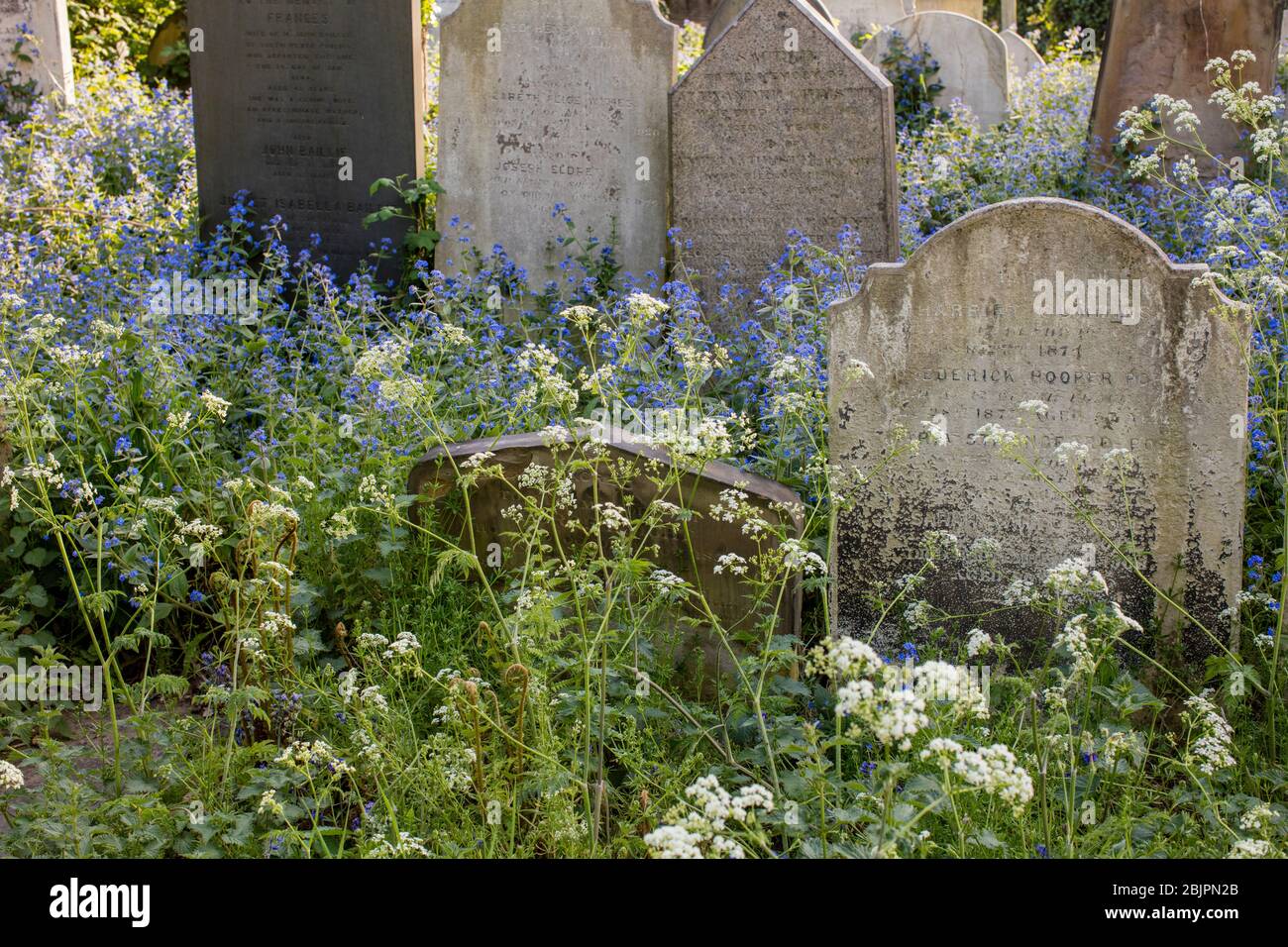Brompton Cemetery, Kensington, London; one of the 'Magnificent Seven ...