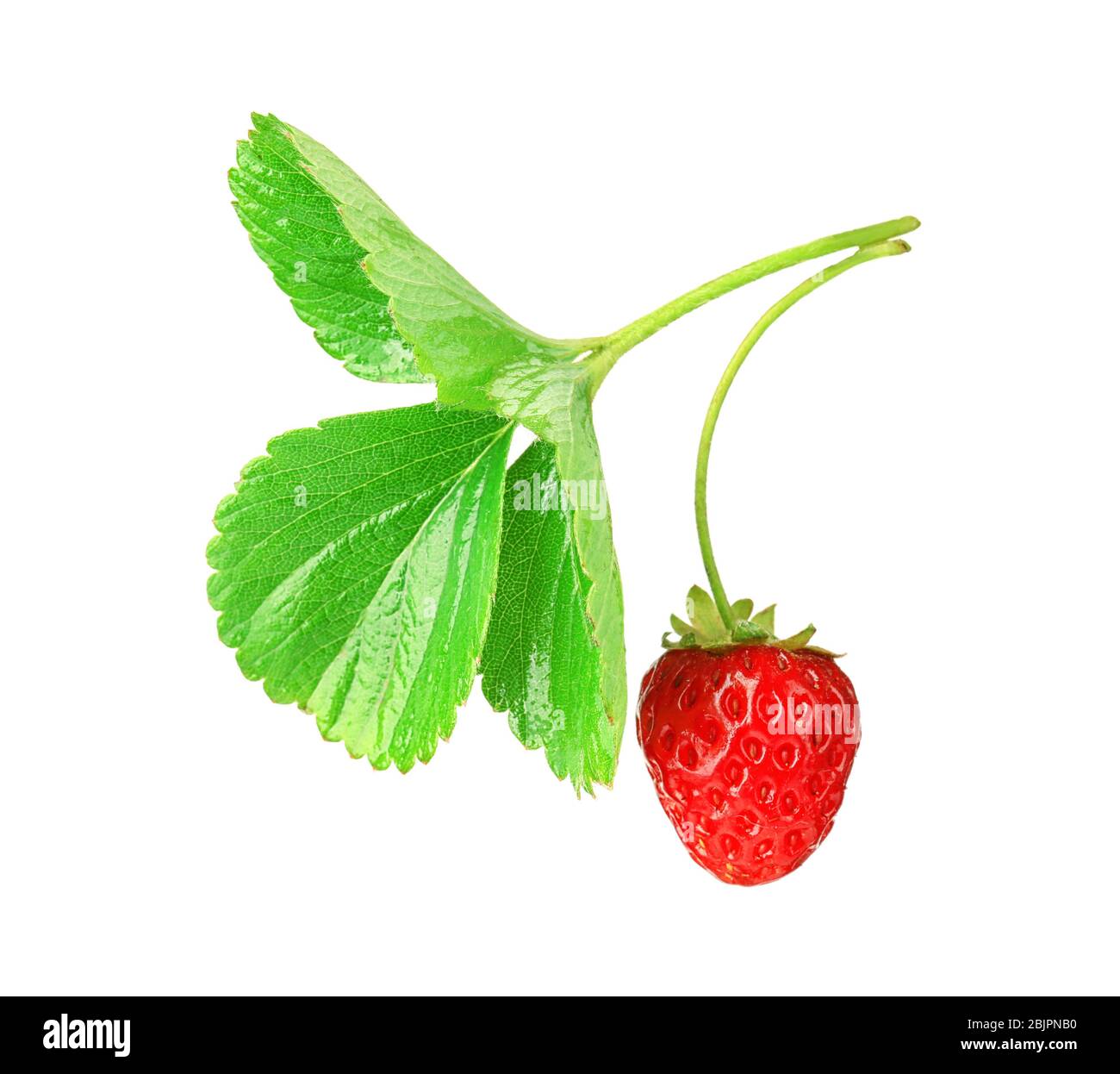 Fresh ripe strawberry with leaf, isolated on white Stock Photo - Alamy