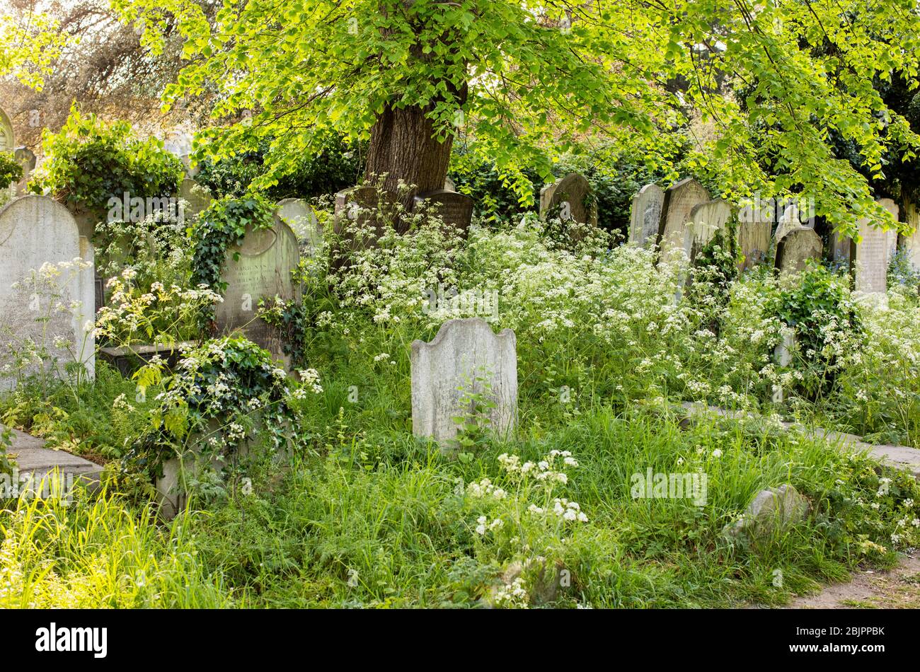 Brompton Cemetery, Kensington, London; one of the 'Magnificent Seven ...