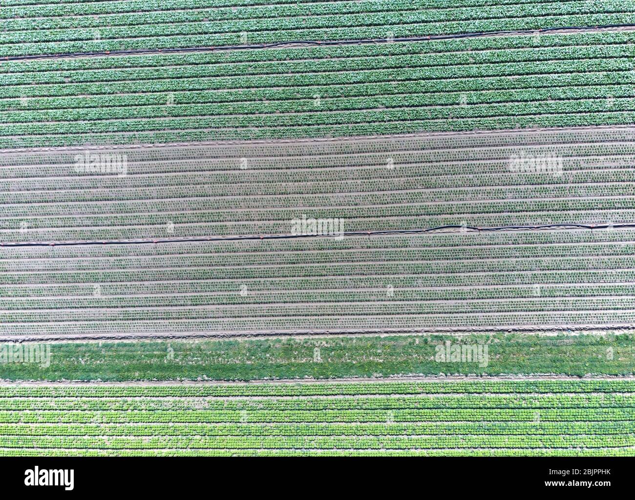 Field eagle eye view hi-res stock photography and images - Alamy