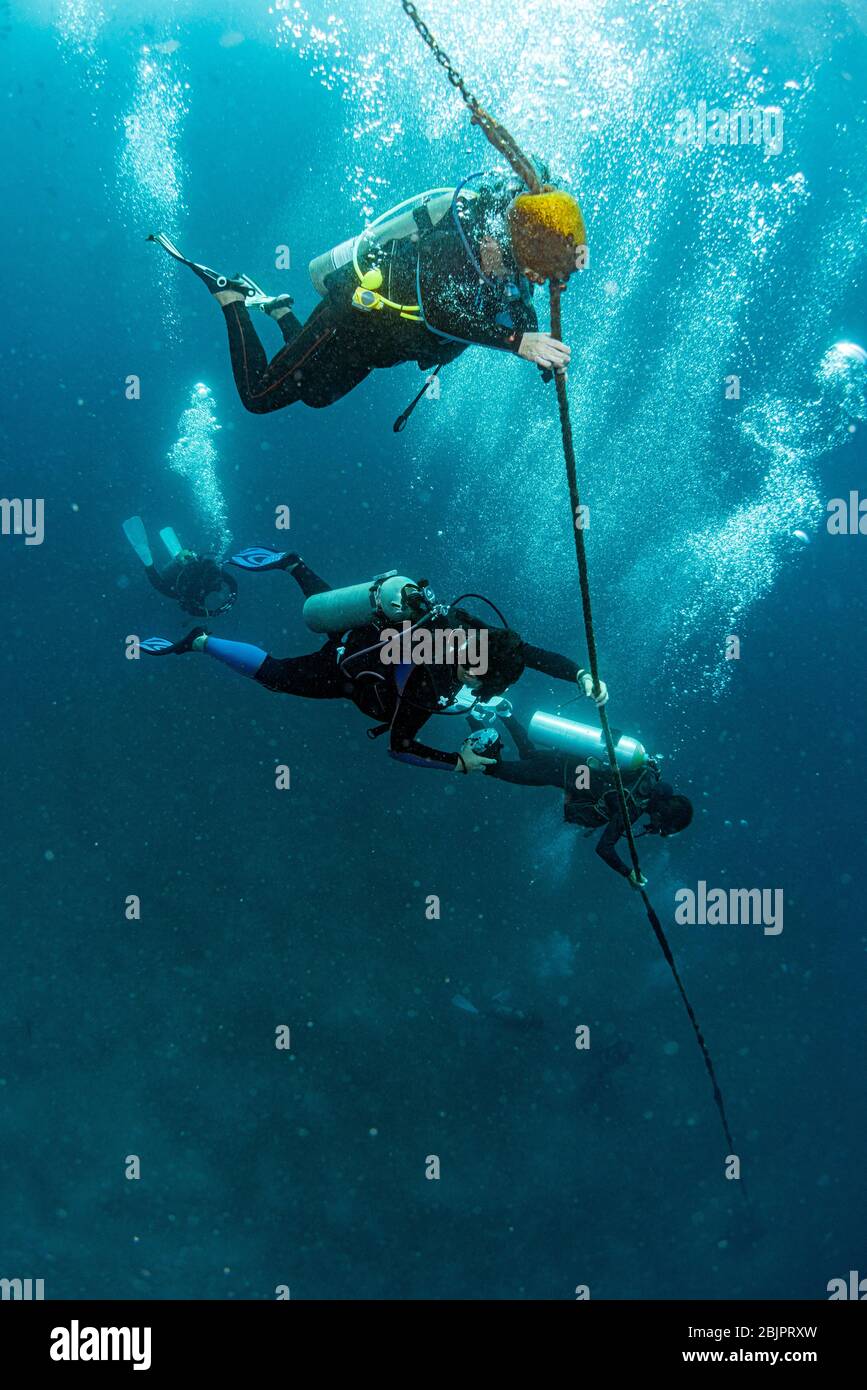 scuba divers on tropical turquoise waters background holding a rope ...