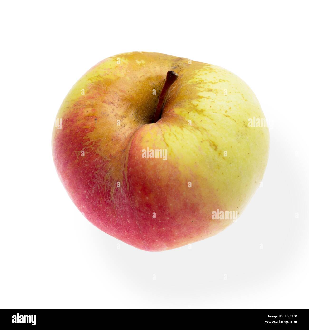 Green apple of the Russian variety Bogatyr isolated on white Stock ...