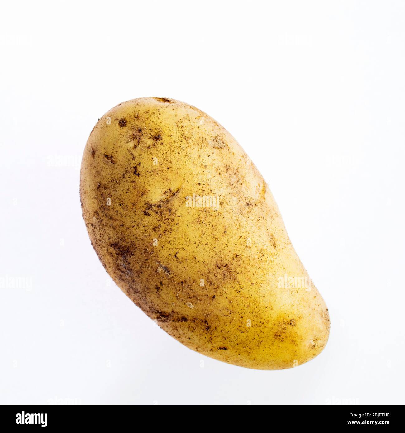Unwashed potato is isolated on white background. Copy space Stock Photo ...