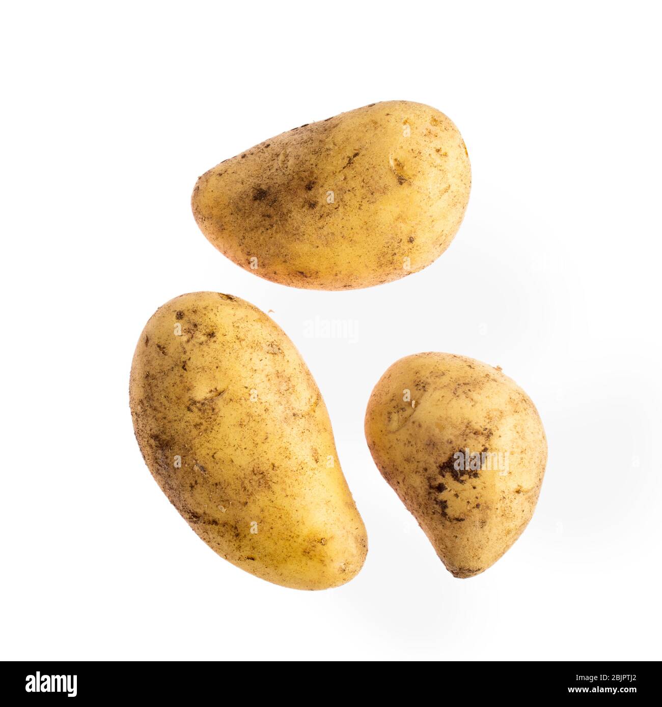 Unwashed potato is isolated on white background. Copy space Stock Photo ...