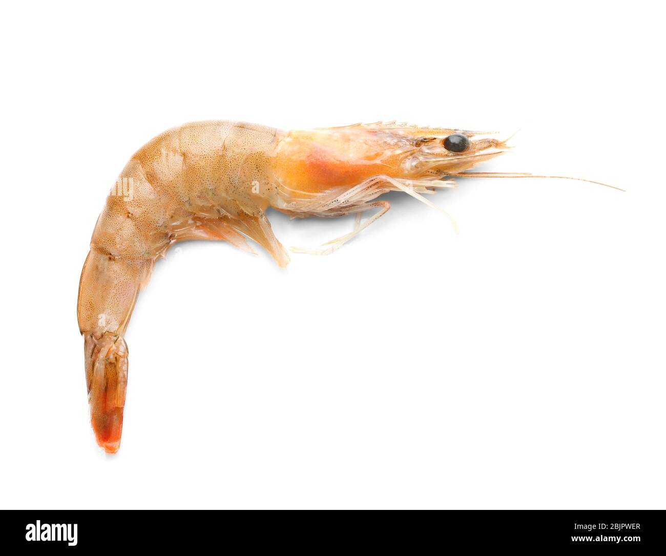 Fresh shrimp on white background Stock Photo - Alamy