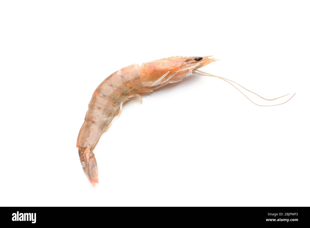 Fresh shrimp on white background Stock Photo - Alamy