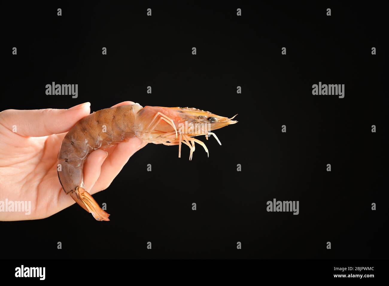Woman holding fresh shrimp on black background Stock Photo - Alamy