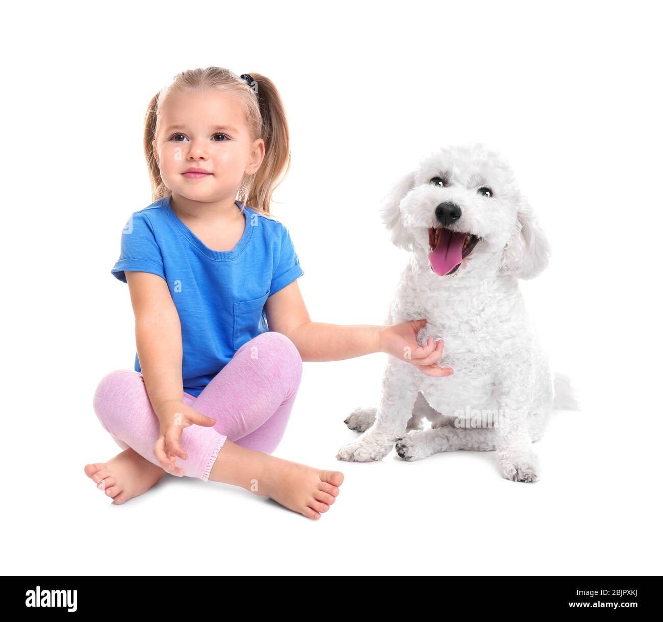 Adorable little girl with her dog on white background Stock Photo - Alamy