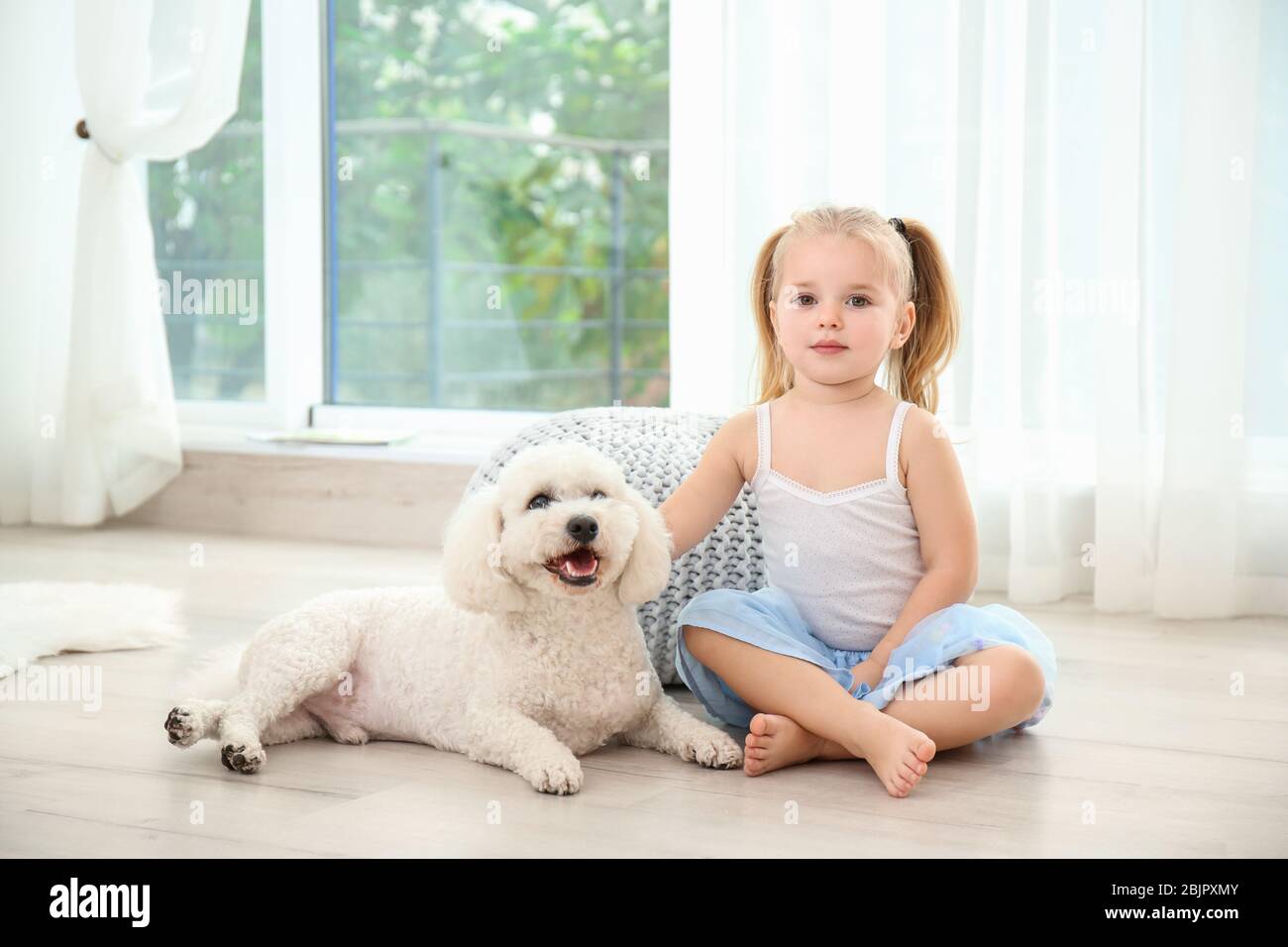 Adorable little girl with her dog at home Stock Photo - Alamy