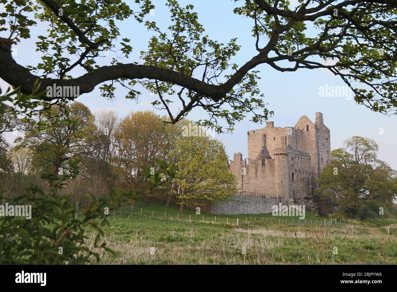 Craigmillar castle framed by a tree branch Stock Photo - Alamy