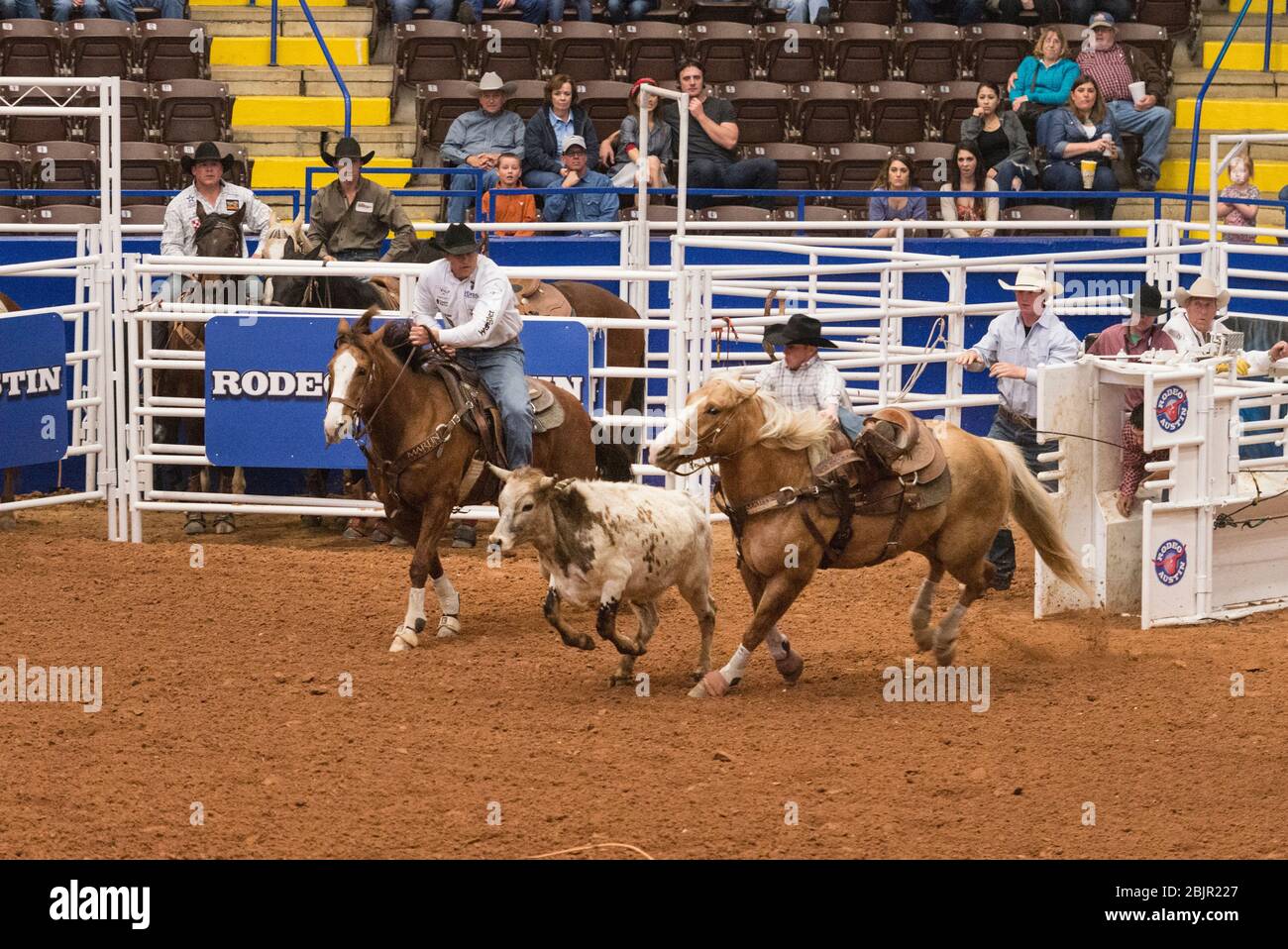 Austin rodeo hi-res stock photography and images - Alamy