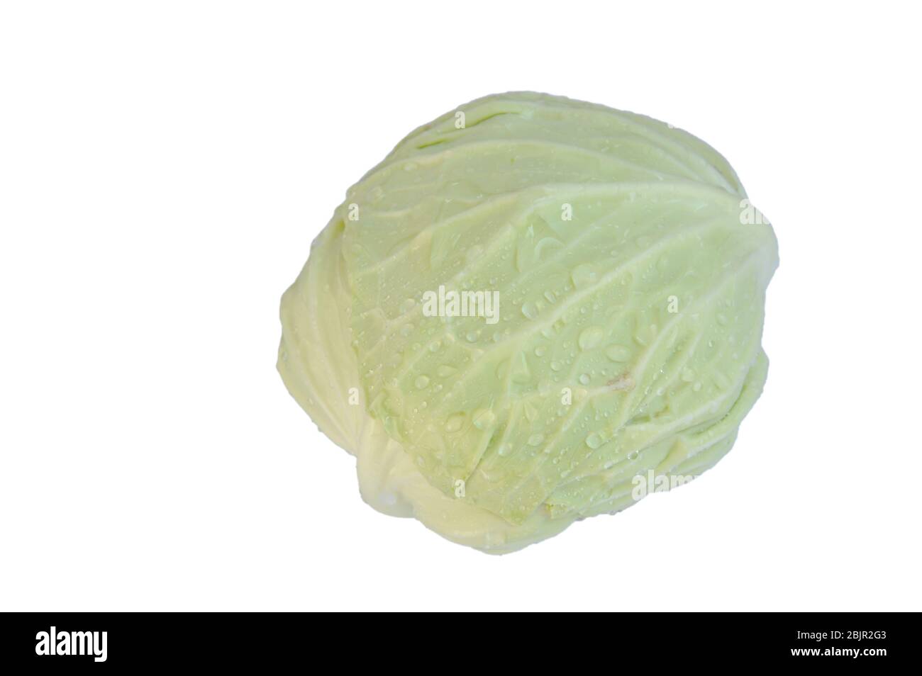 cabbage with drop of water on white background Stock Photo - Alamy