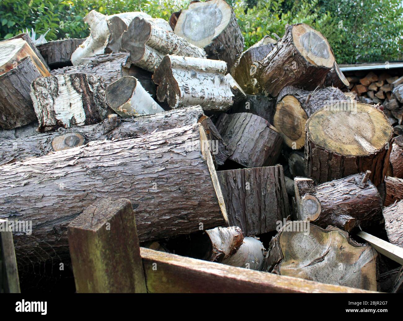Log pile garden hi-res stock photography and images - Alamy