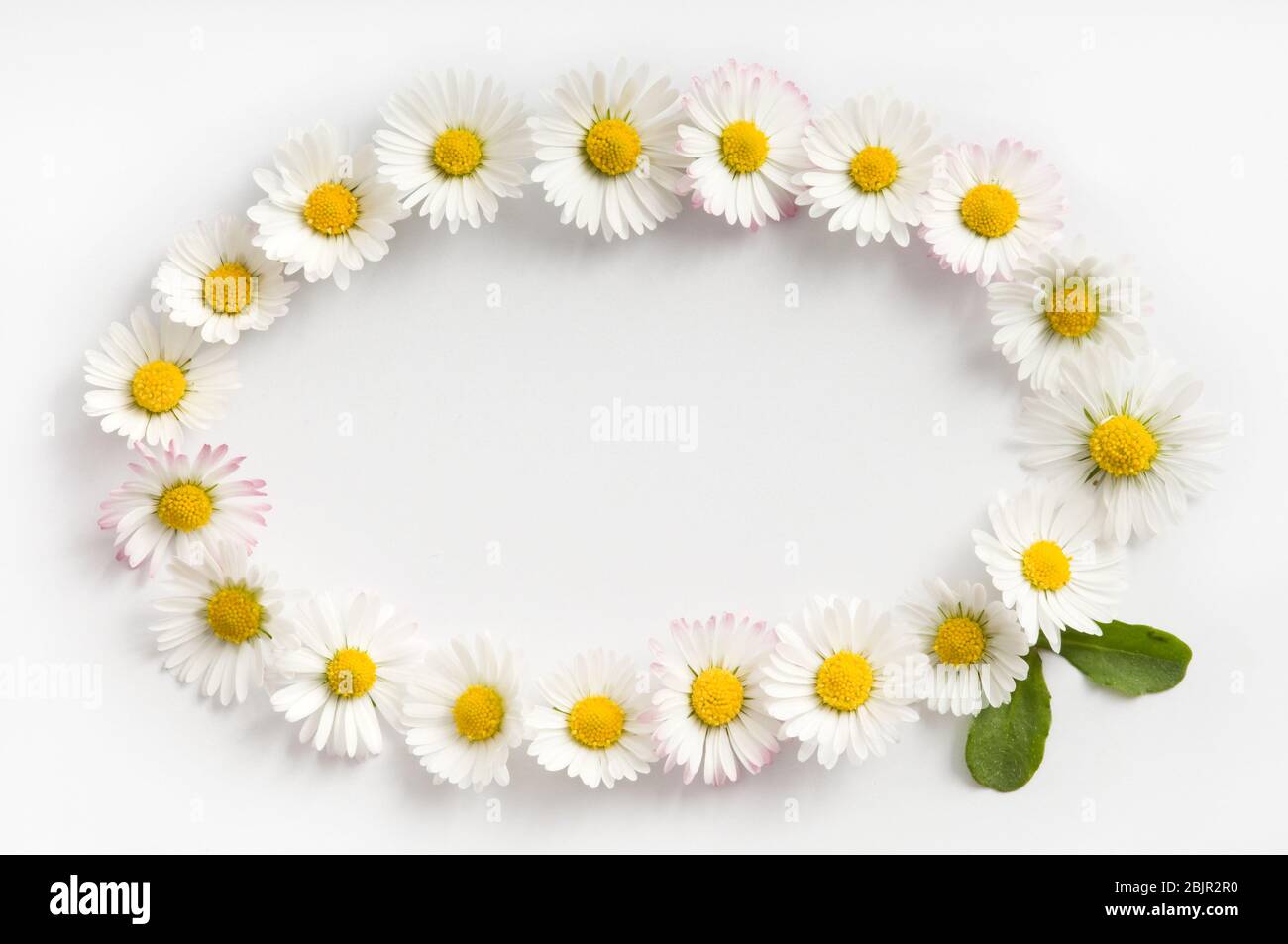 élipse hi-res stock photography and images - Alamy