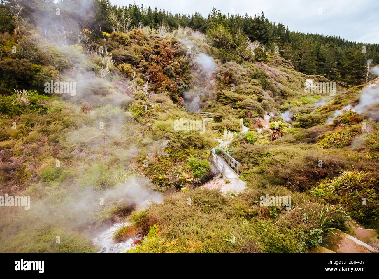 Wairakei thermal valley hi-res stock photography and images - Alamy