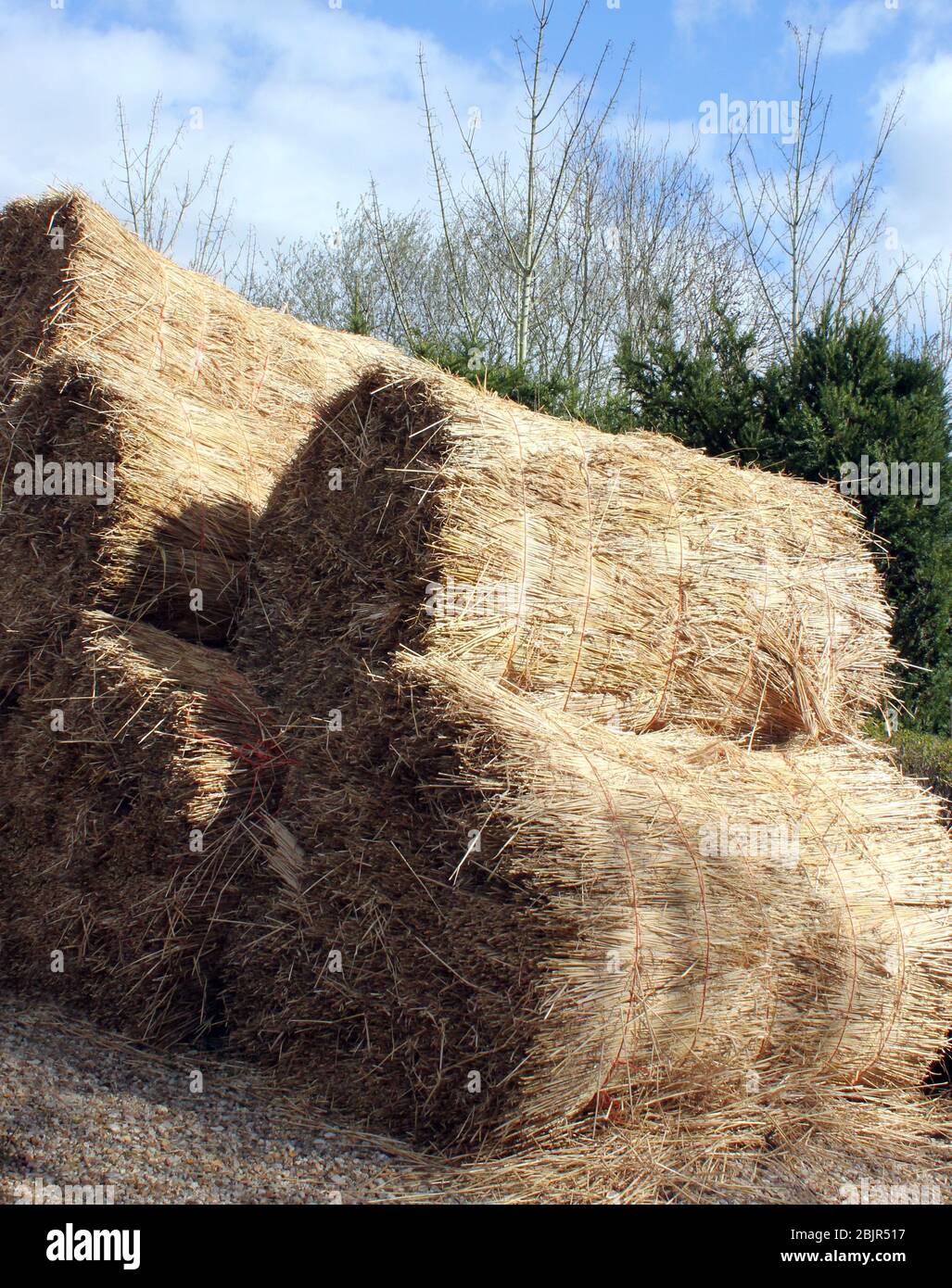 Intensive green roof hi-res stock photography and images - Alamy