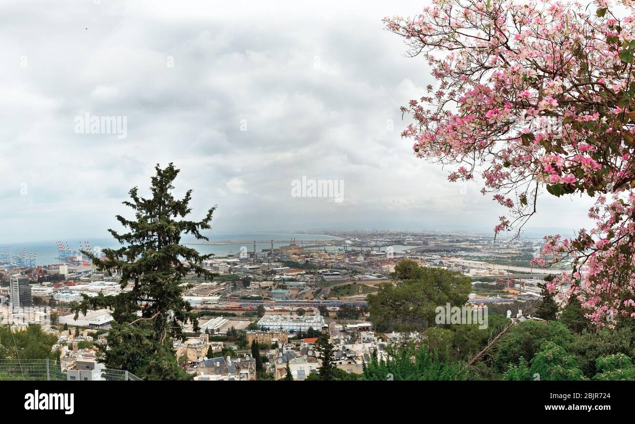Harbor of haifa hi-res stock photography and images - Alamy