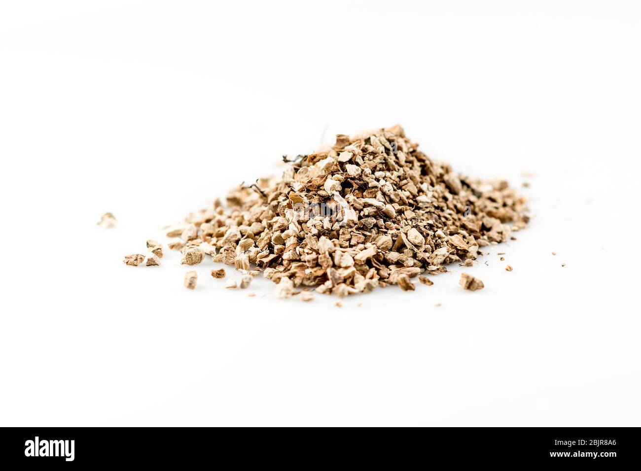 Calamus Cut Out Stock Images & Pictures - Alamy