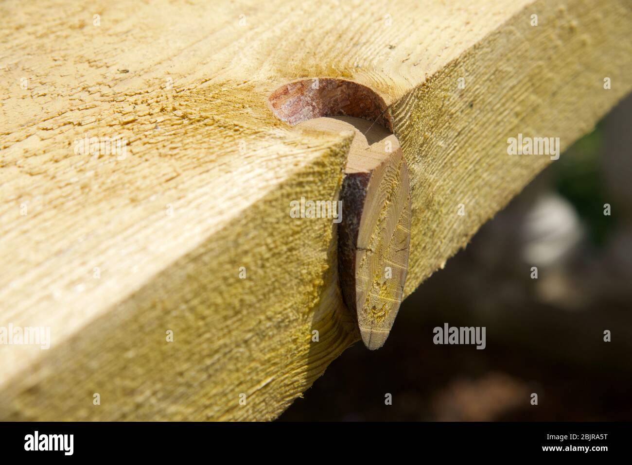 Wood knot: a displaced wood knot on the edge of a length of rough sawn ...