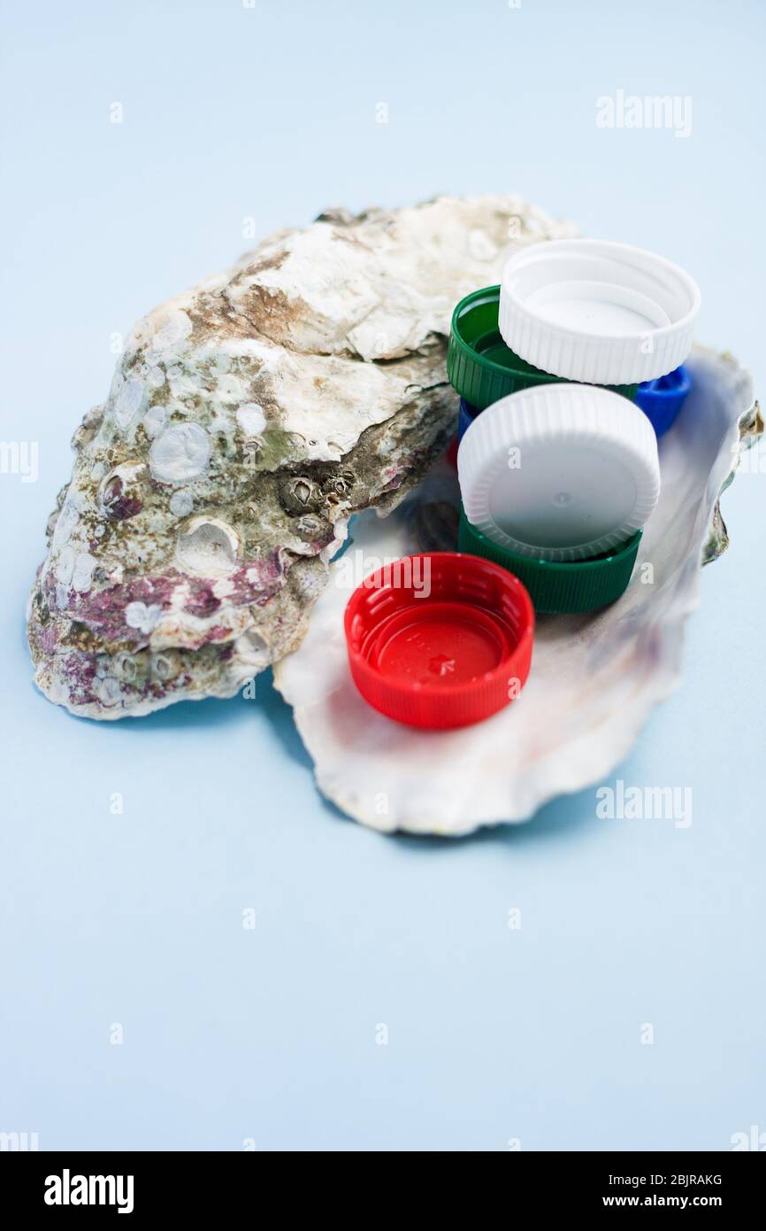 Seashell from oyster with colorful plastic bottle caps. Plastic ...