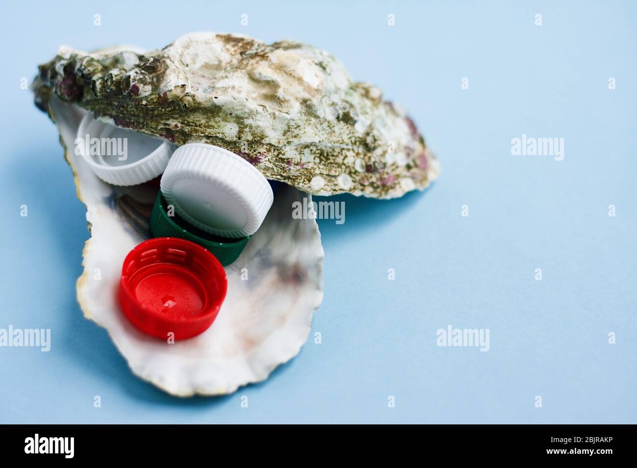 Seashell from oyster with colorful plastic bottle caps. Plastic ...
