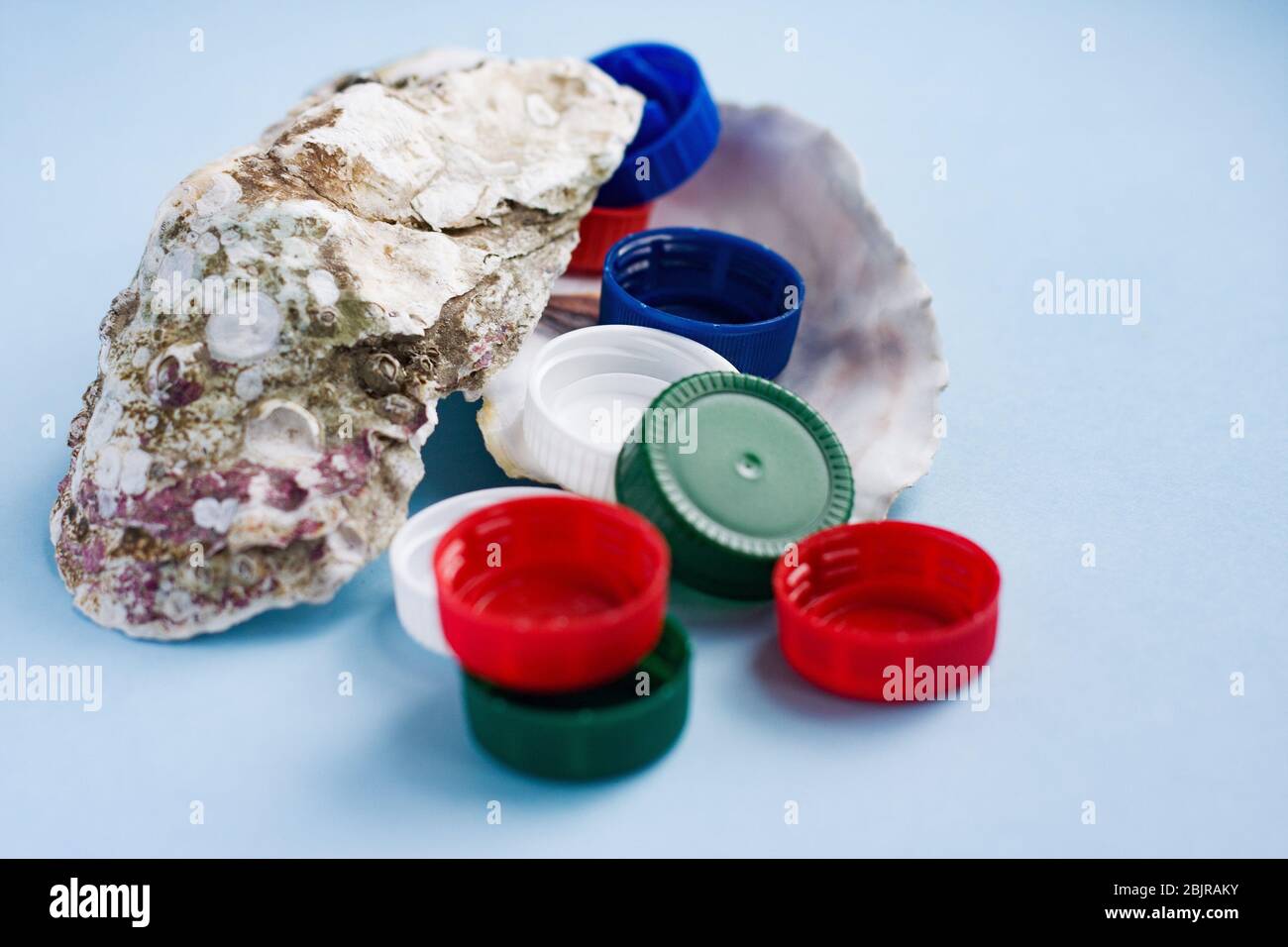 Seashell from oyster with colorful plastic bottle caps. Plastic ...