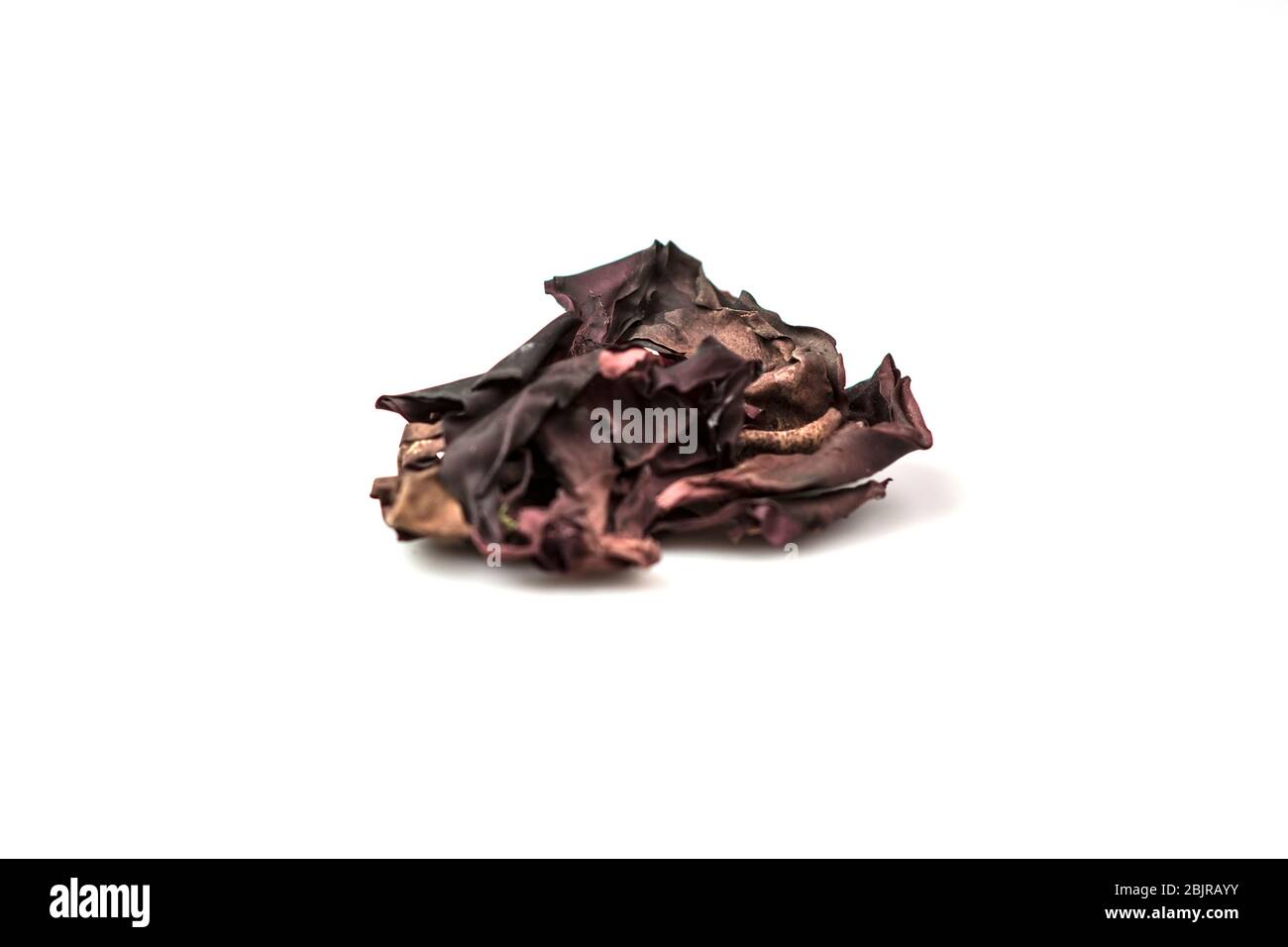 Dulse seaweed hi-res stock photography and images - Alamy