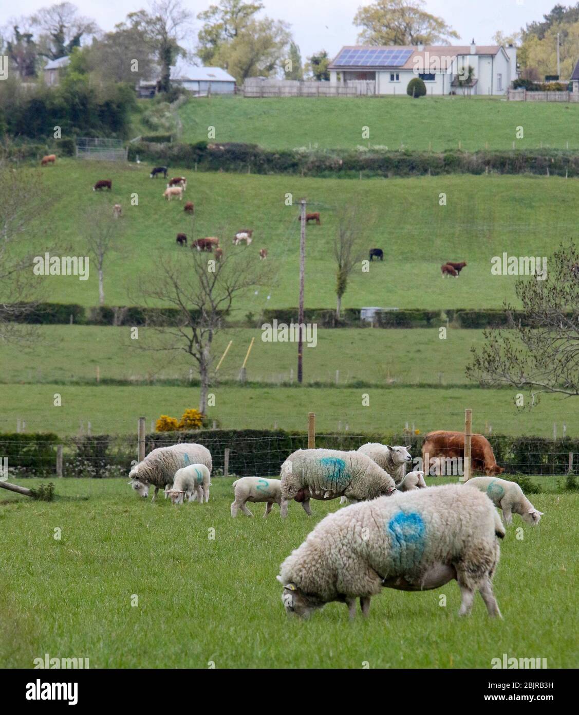 Weather 2020 hi-res stock photography and images - Alamy
