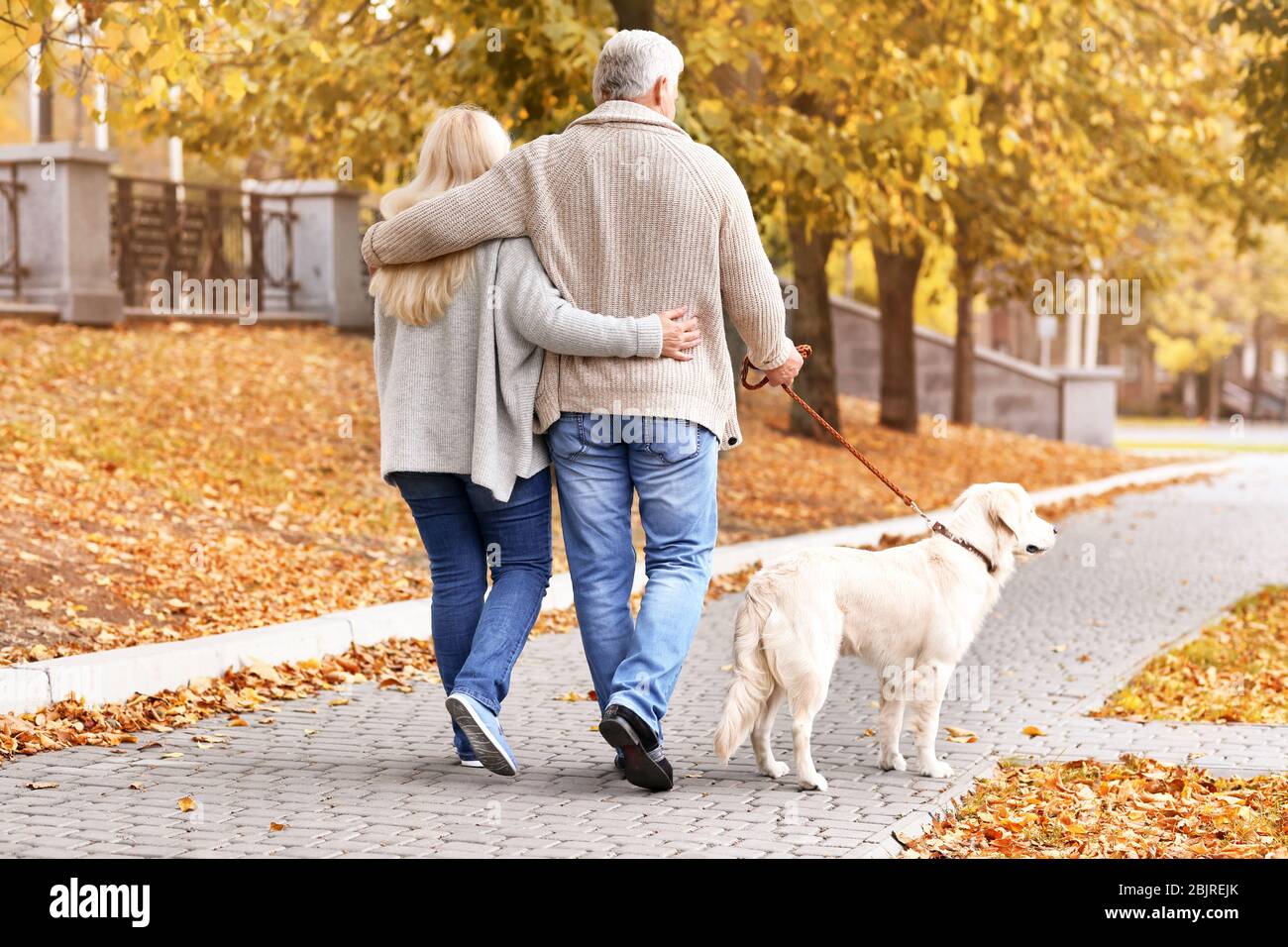 Mature couple golden retriever hi-res stock photography and images - Alamy