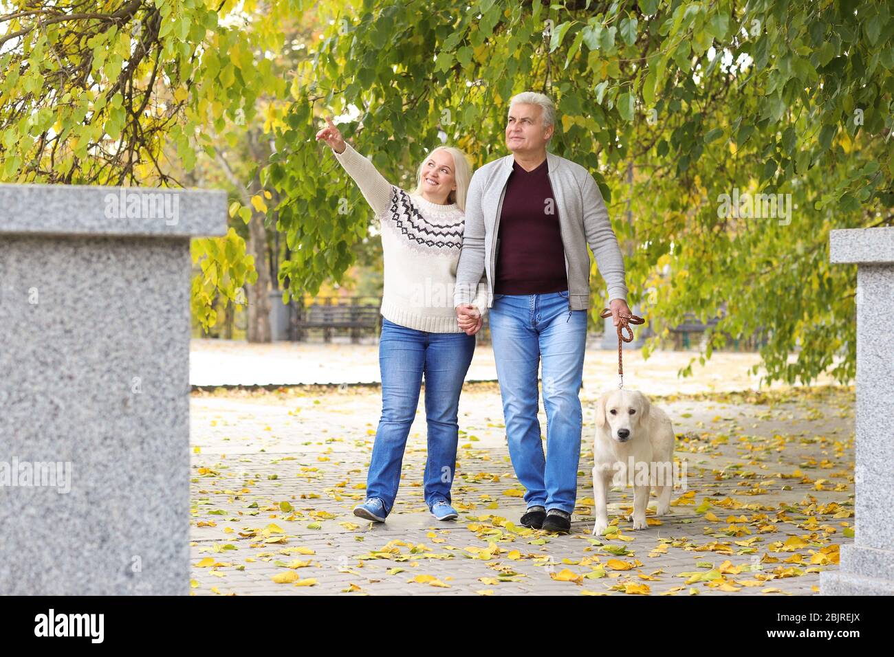 Mature couple walking their dog in park Stock Photo - Alamy
